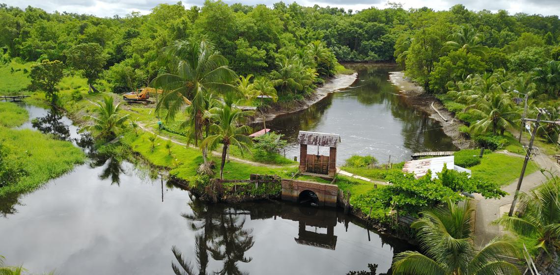 Plantage Bakkie (SR) | DEV - EXARC - DEV